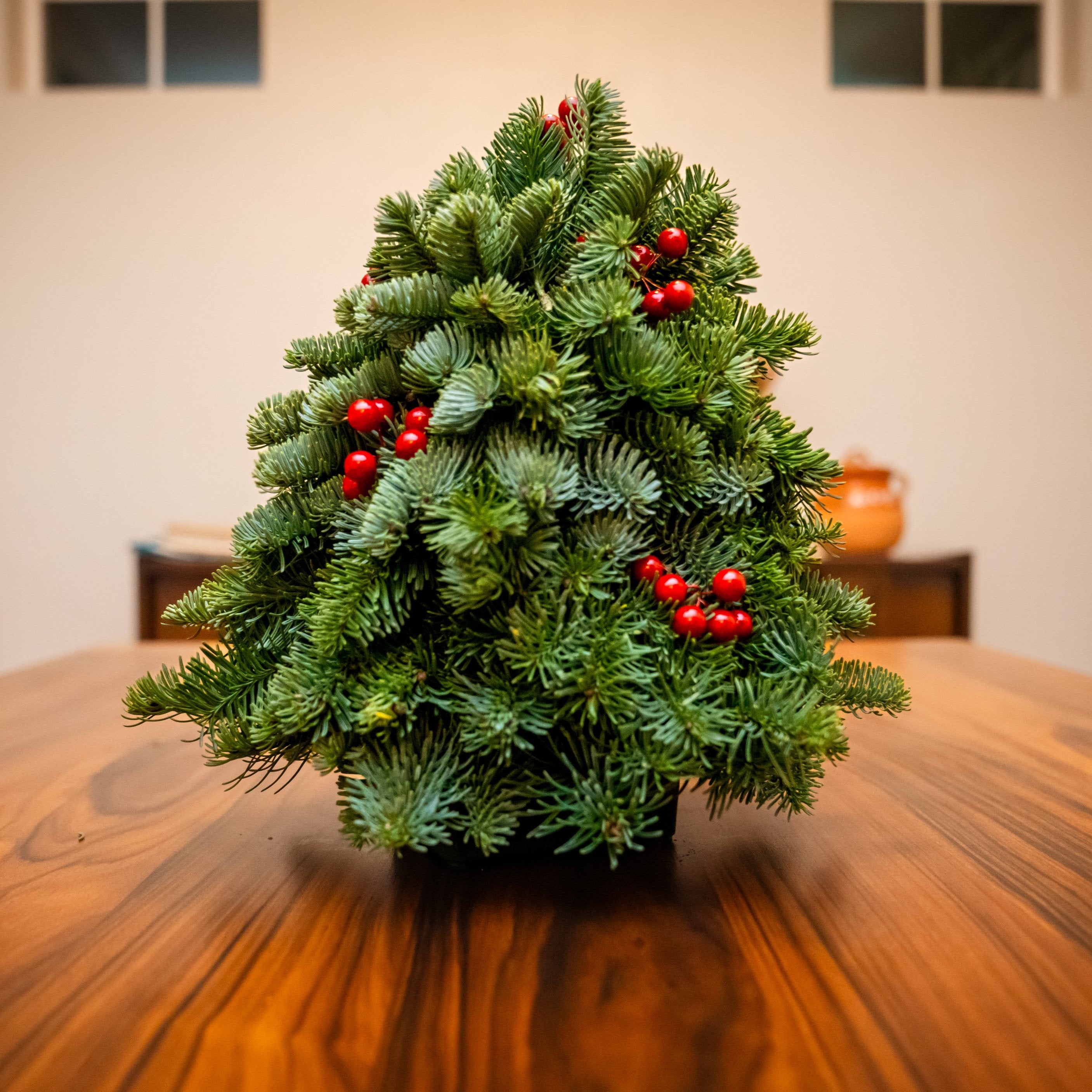 THE MINI TREE - Fresh Noble Fir Mini Christmas Tree Centerpiece ...
